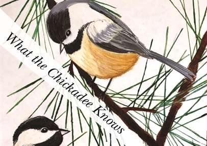 What the Chickadee Knows - Ojibwe.net