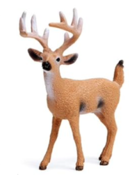 Wild Animals (Awesiinh) - Ojibwe.net