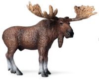 Wild Animals (Awesiinh) - Ojibwe.net