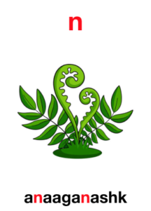 Practicing the Sound of Our Language (Alphabet Flashcards) - Ojibwe.net